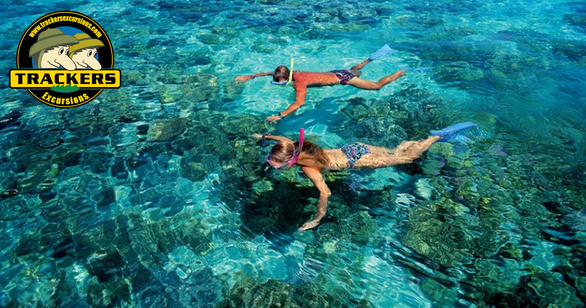 Cruise and Jeep Safari Tour - Blue Lagoon | Trackers Excursions