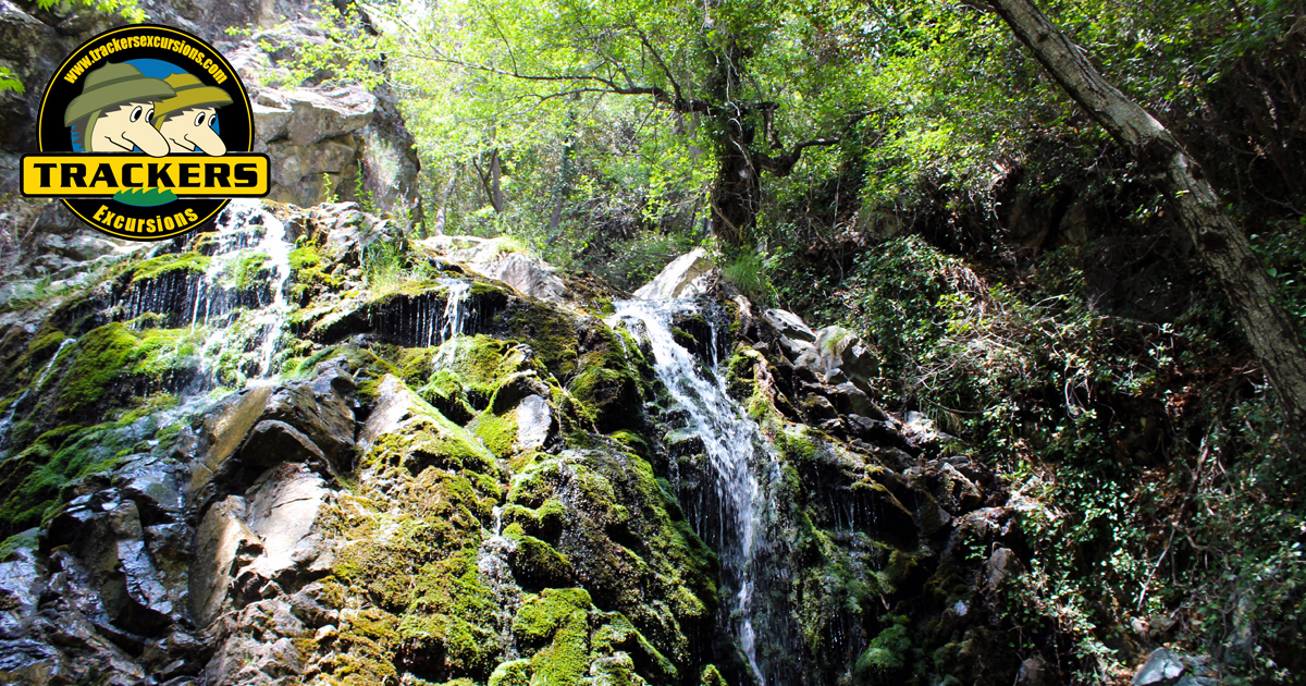 Troodos Mountains Excursion - Jeep Safari | Trackers Excursions
