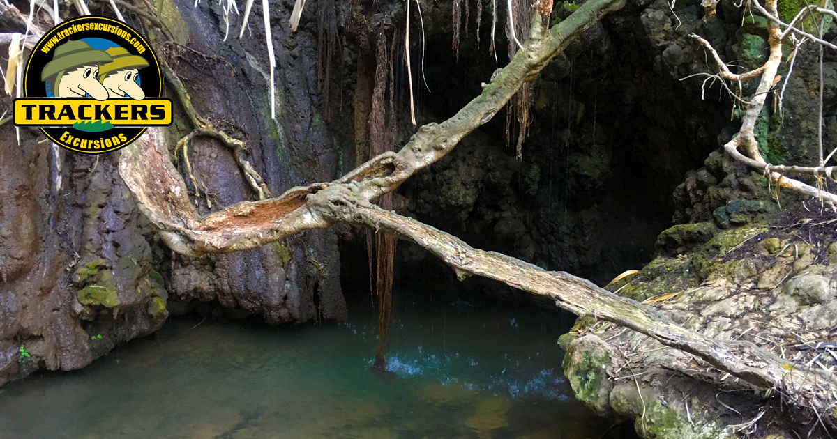 Akamas Peninsula Tour – Private Excursion | Trackers Excursions