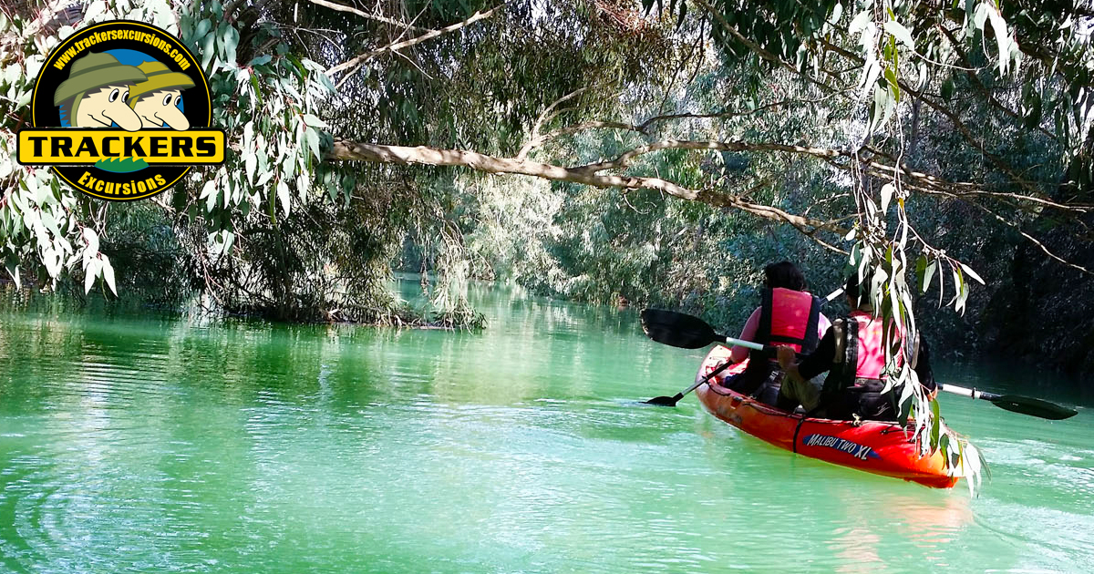 Overloaded Jeep Safari – Private Excursion | Trackers Excursions